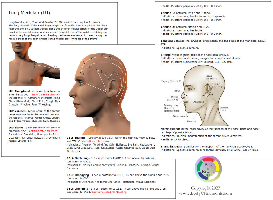 Illustrated Atlas of Acupuncture Points with Formulas